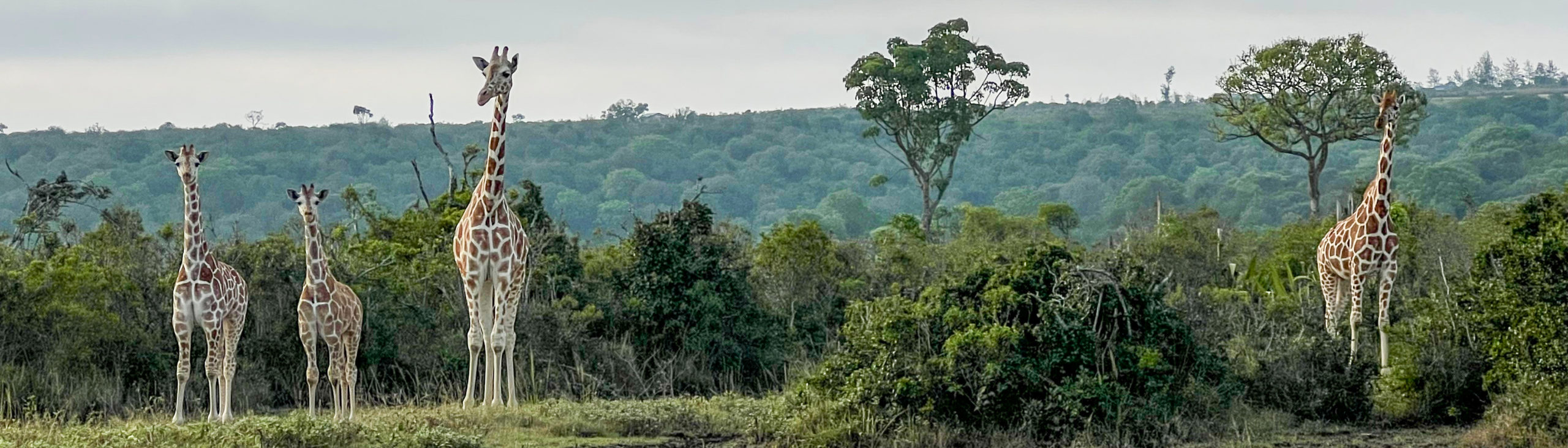 Creating team unity, alignment, and vision | Territory